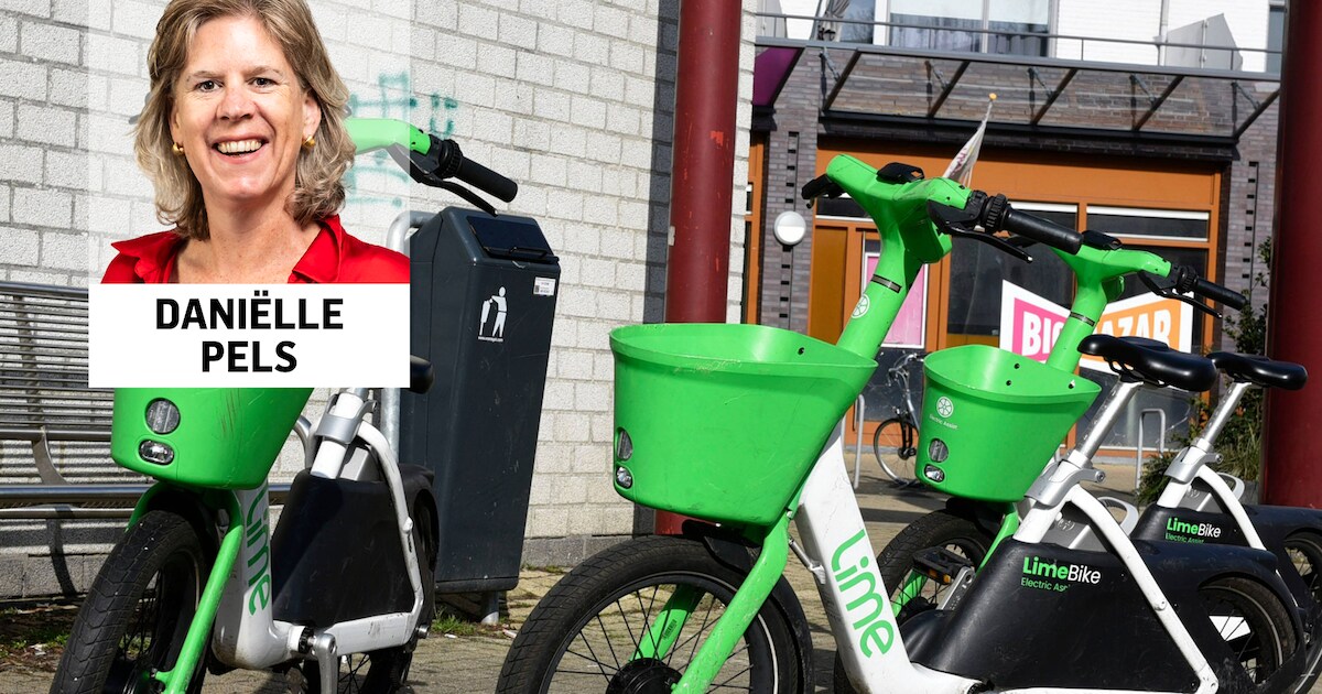 Elk plan dat je op de fiets krijgt verdient een kans: maar of deze ...