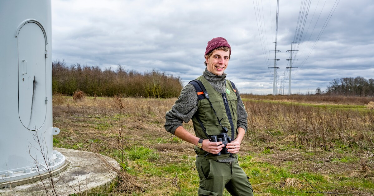 25-jarig Bentwoud is met havik en vos écht bos en daar gaat geen boom ...