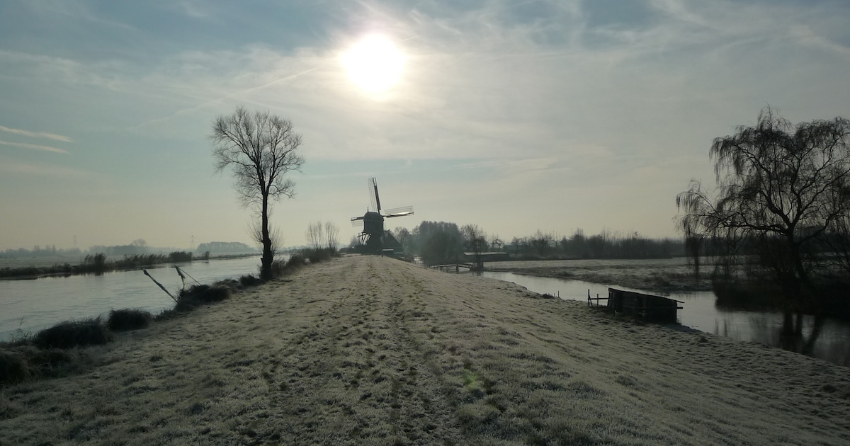 90 Procent van de dijken in ons gebied is veilig | Woerden | AD.nl