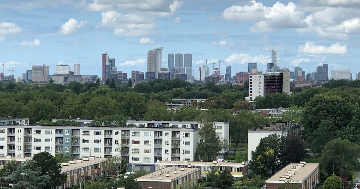 Kleinere corporatie koopt 1000 sociale huurwoningen in Rotterdam-Zuid ...