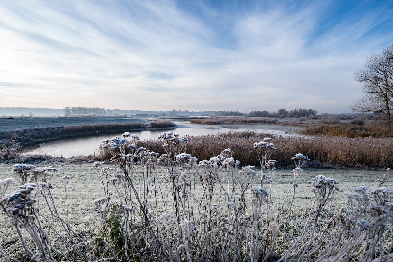Schaatspret gaat grotendeels voorbij aan opgedroogde Oude Waal: botte ...