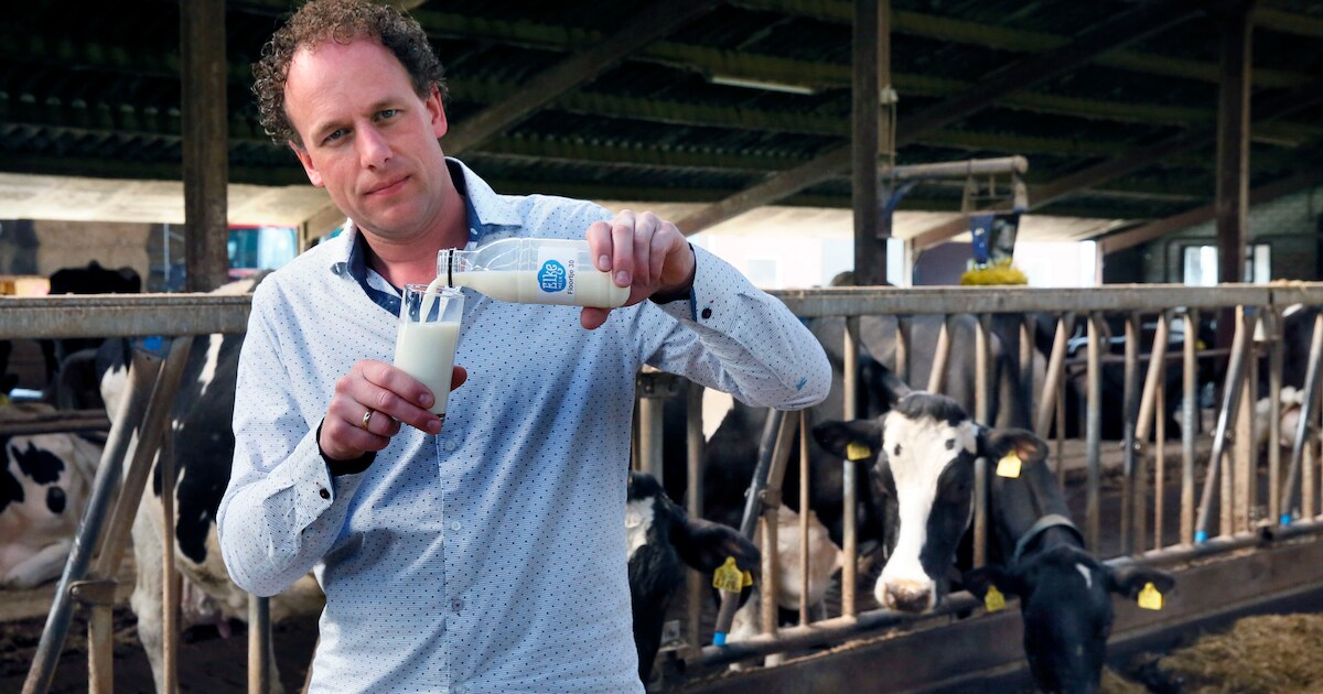 Boer Matthijs wil Rotterdammer aan melk krijgen van eigen koe ...
