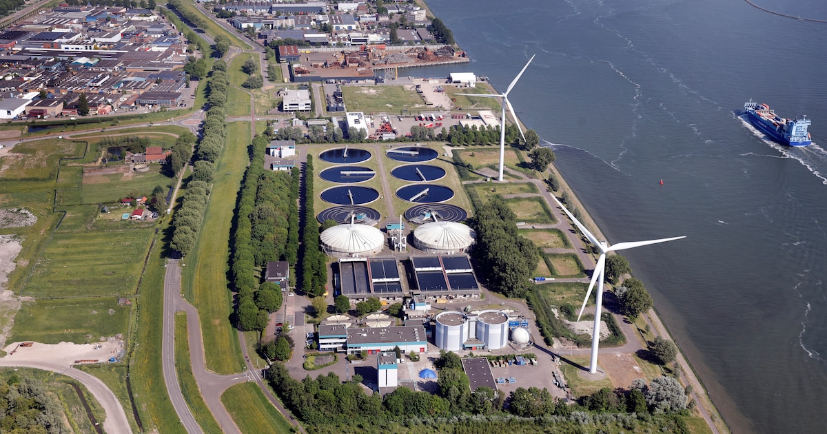 Zonder nieuwe afvalwaterzuivering heeft regio een groot probleem ...