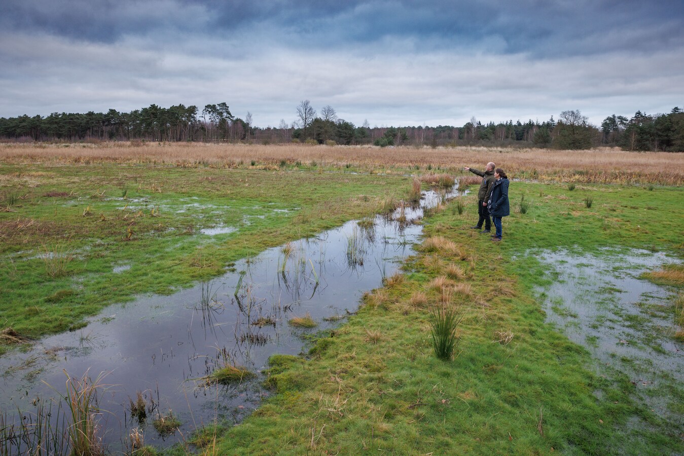 Natte weilanden en tóch verdroogt Nederland: de verborgen watercrisis ...