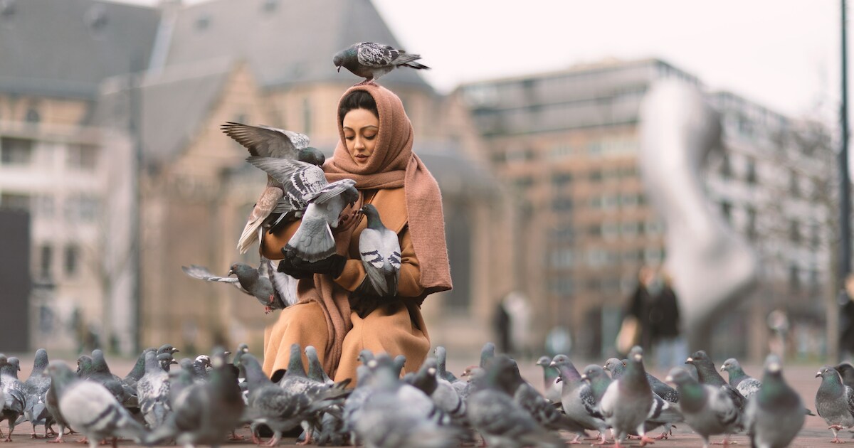 Dit zijn onze meest bijzondere verhalen van de afgelopen week | Rotterdam | AD.nl