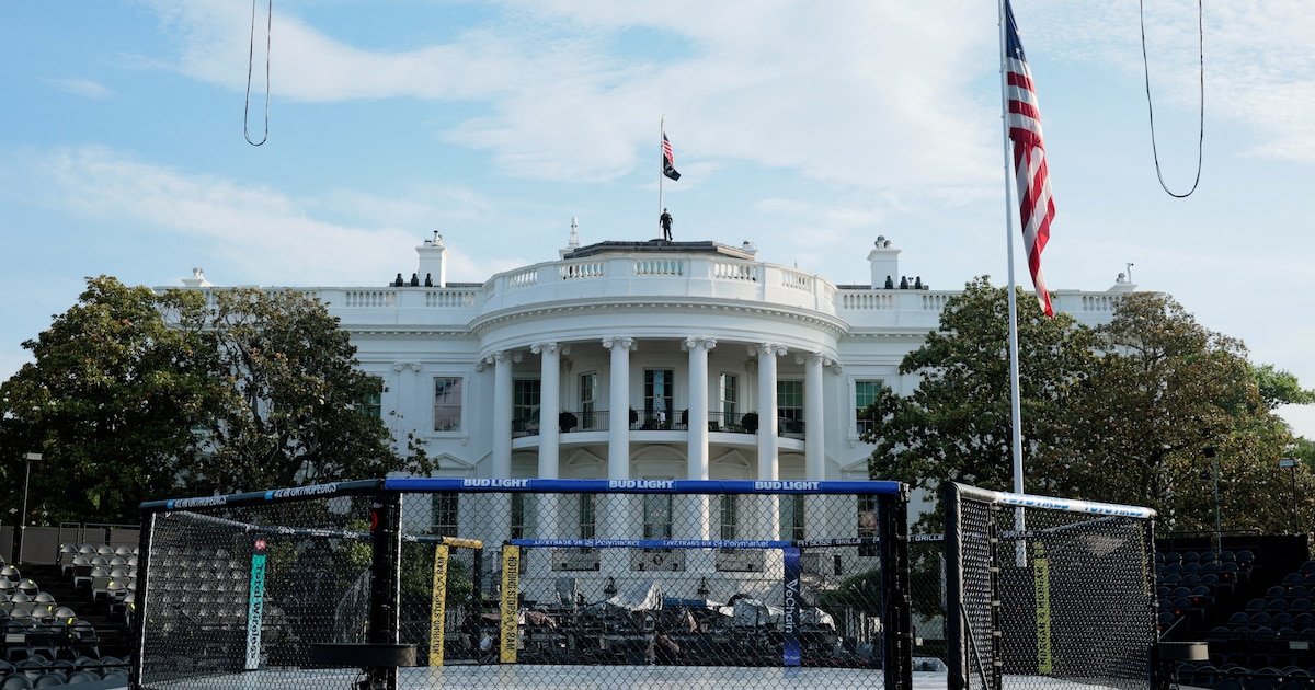 UFC in tuin van het Witte Huis: ‘Rico voor piramides, nu dit: in mijn ...