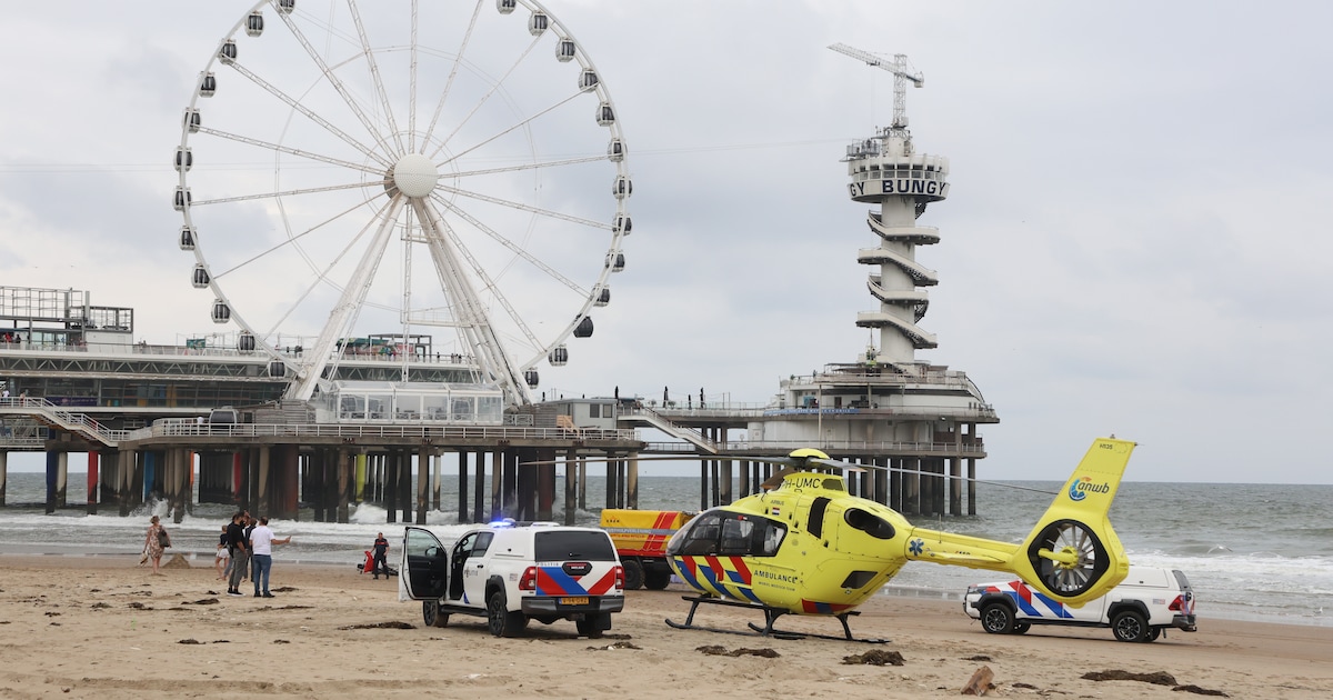 Ondanks waarschuwingen wéér zwemmers uit zee gered: ‘Muien zijn met het blote oog nauwelijks te ...