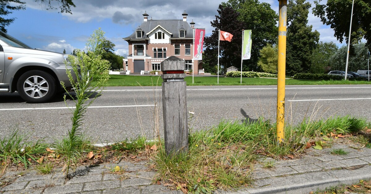 Onkruidbestrijding op verharding in Castricum is weer gestart | Regio ...