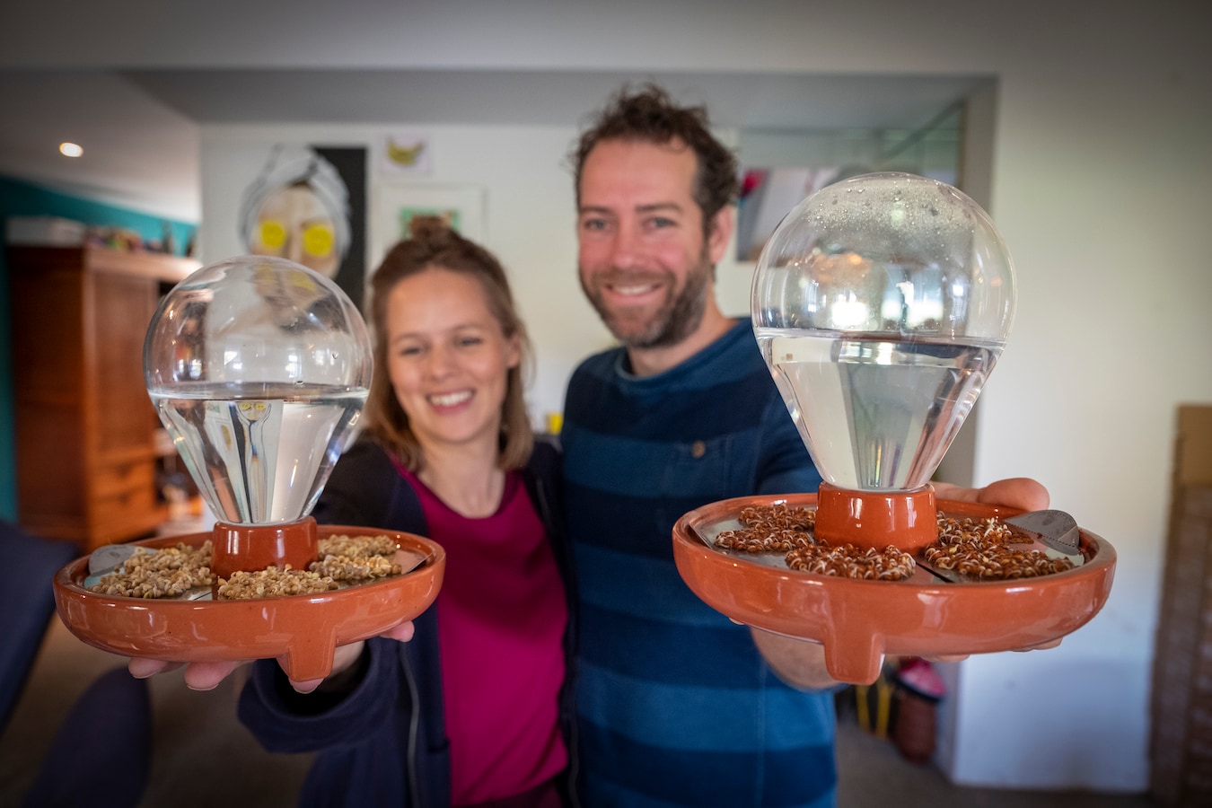 Kiemplantjes uit Overasselt zijn een hit in Amerika: ‘Ik zie het al in ...