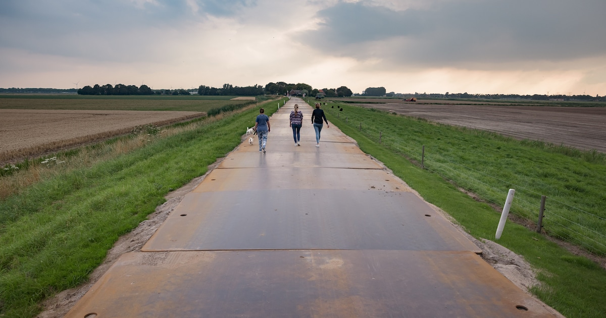 Dieven van rijplaten op heterdaad gepakt bij Slot Loevestein | Altena ...