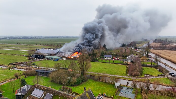 Koeien komen om in stal: hoe ver gaat de brandweer om dieren te redden? | Stichtse Vecht | AD.nl