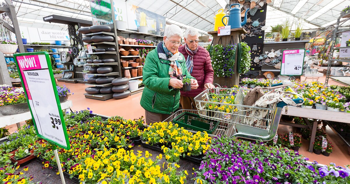 Ter Aar krijgt tweede winkelcentrum bij Intratuin vanwege komst van ...