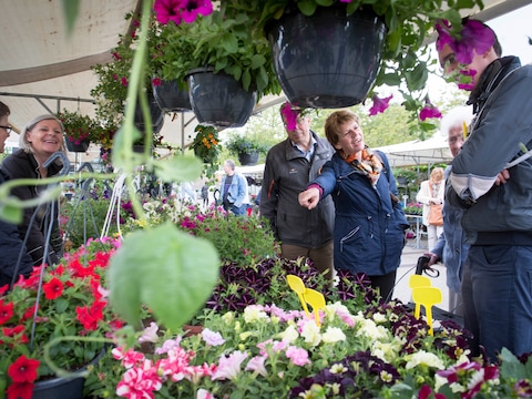 Parkeerverbod op Burgemeester Kuperusplein in Heerenveen door ...