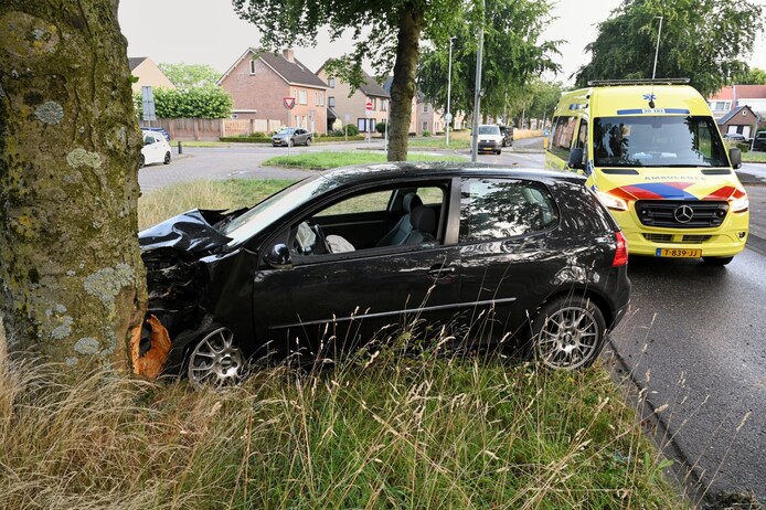 Automobilist raakt macht over stuur kwijt en botst tegen boom in Oisterwijk | Oisterwijk | AD.nl