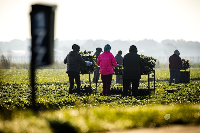 Arbeidsmigranten blijven lang en dus volgt nu advies: laat ze snel ...