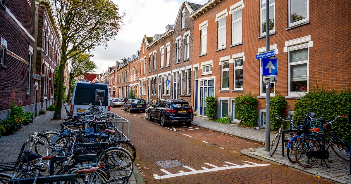 Kralingen houdt hart vast: gemeenteraad steekt stokje voor versoepeling ...