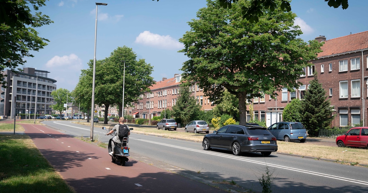 Roep om plan voor meer sociale huur in ‘rijke’ Arnhemse wijken | Arnhem ...