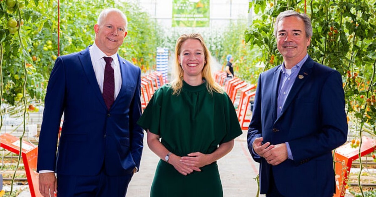 Spectaculaire projecten voor draadloze communicatie in de kas: ‘Hierin ...