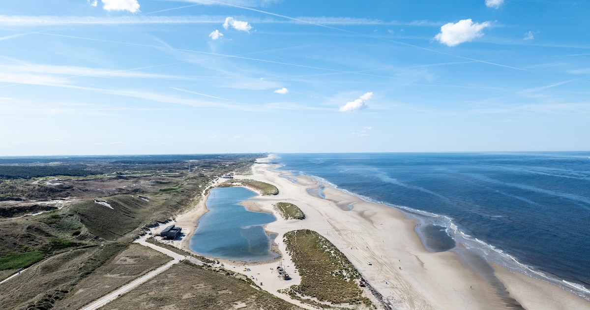 Hondsbossche Duinen vieren 10-jarig bestaan | Regio | AD.nl