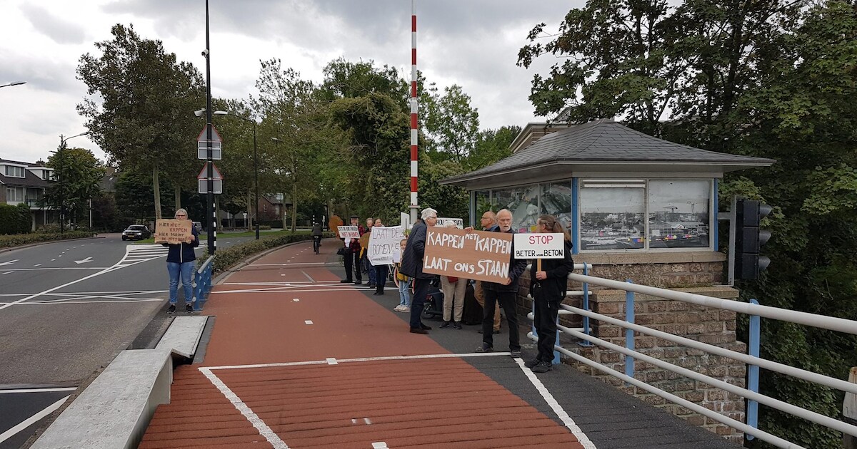 Stichting Het Wantij boekt pyrrusoverwinning in zaak rond kappen van ...
