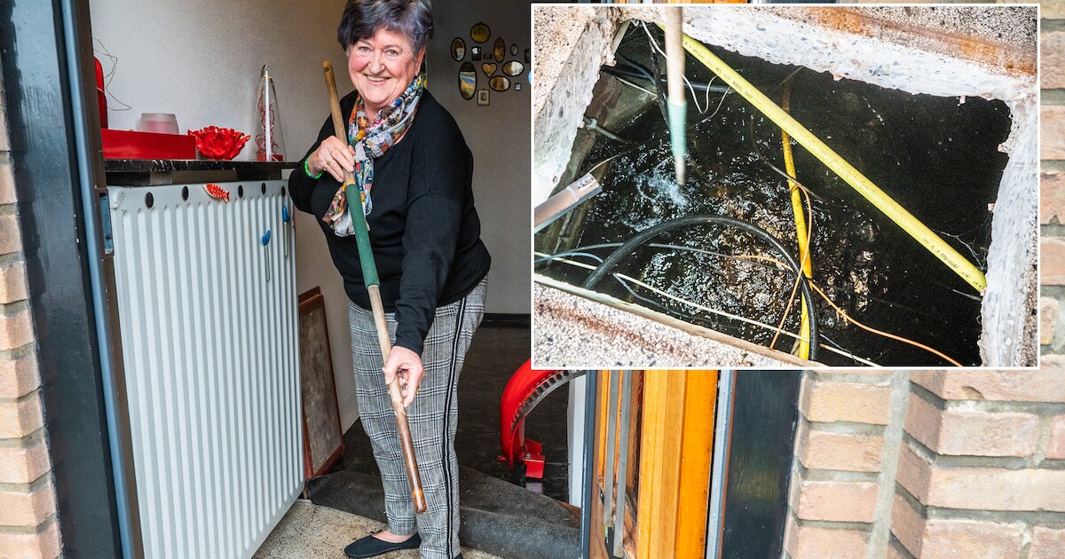 Zwarte schimmel op de muren en enorm veel vocht in huis: Nell en haar ...