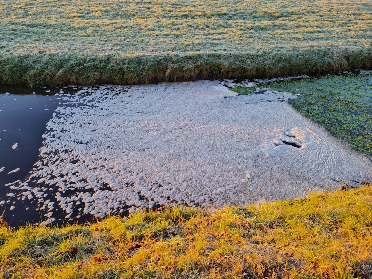 Wen er maar aan: vies, ongezond water is het nieuwe normaal ...