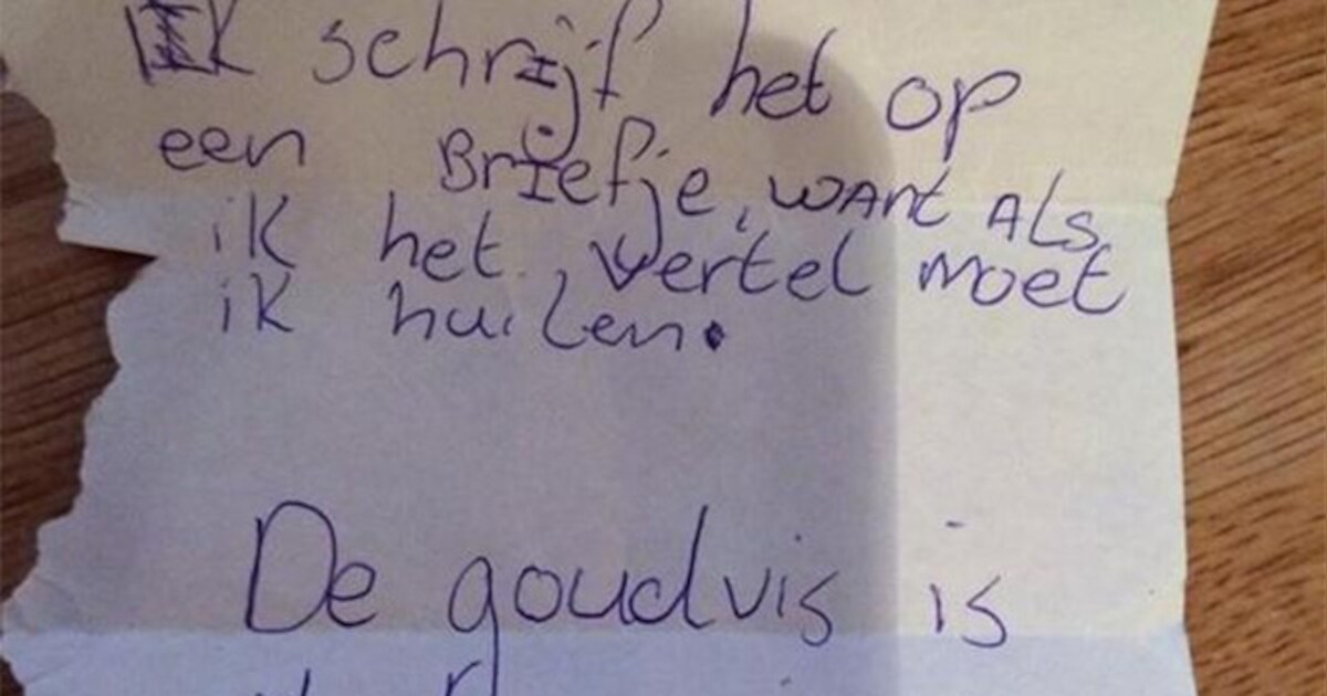 Leerling ontroert meester met briefje over dode goudvis | Bizar | AD.nl