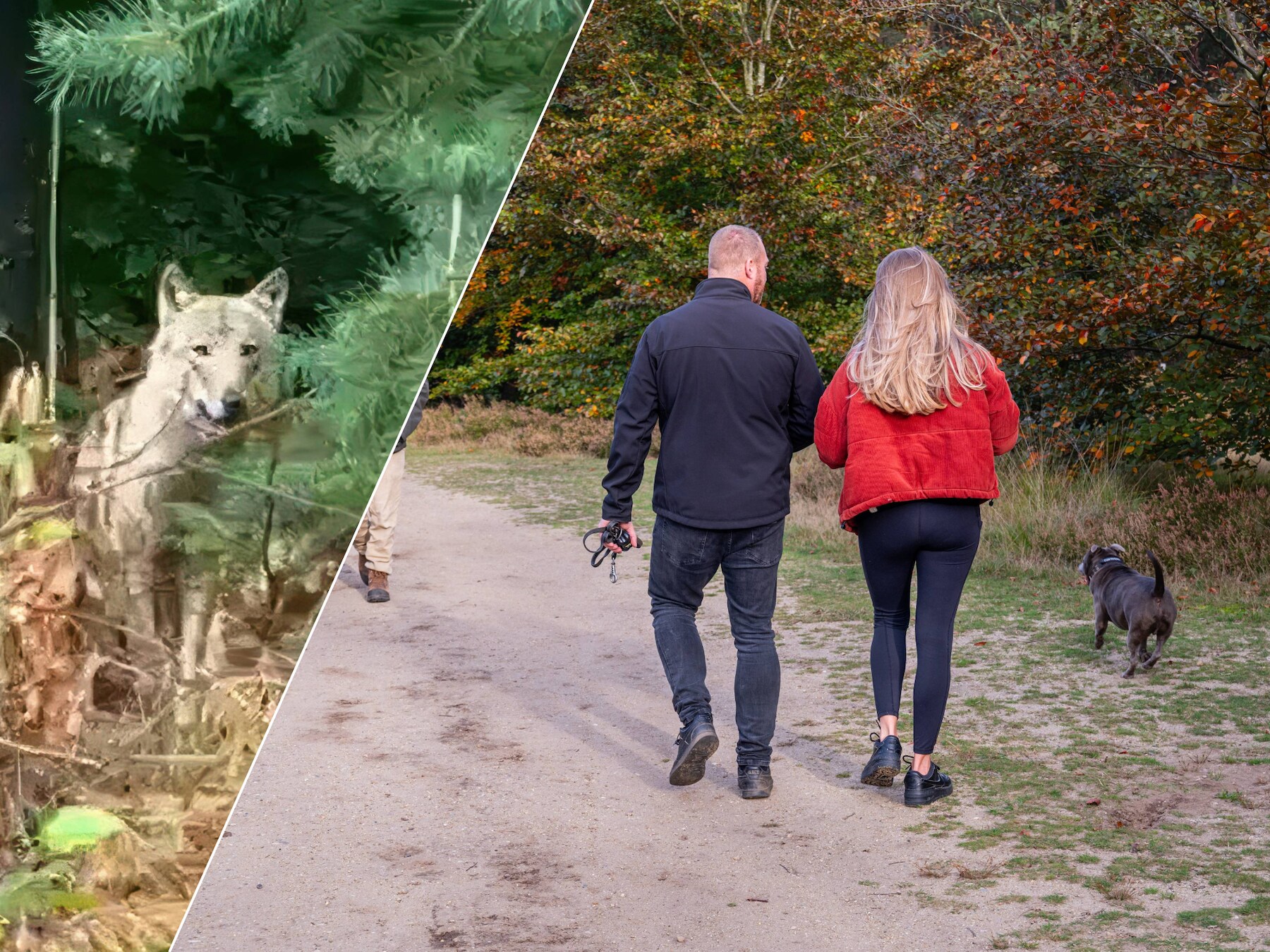 Cokeprijs keldert en toch blijft straatprijs 50 euro per gram: ‘Zou ...