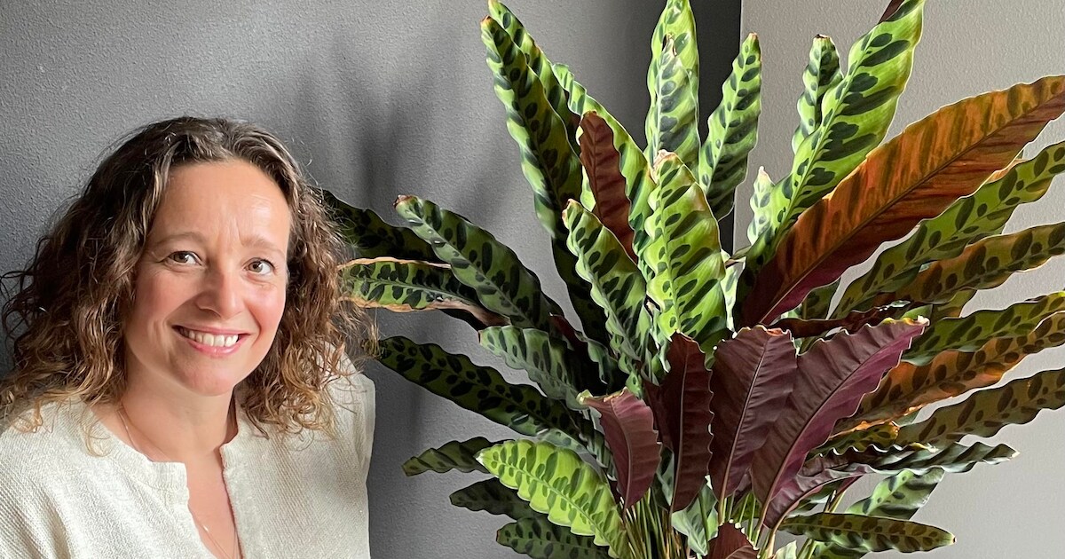Niet alle planten van Amanda overleven: ‘Maar des te trotser ben ik als ...