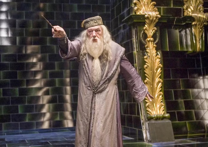 Nieuwe Harry Potter-serie heeft zijn Dumbledore gevonden: ‘Kijk er erg ...