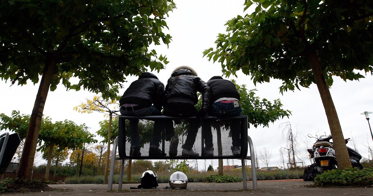 ‘Hang camera’s op in het Binnenpark om overlast van hangjongeren tegen ...