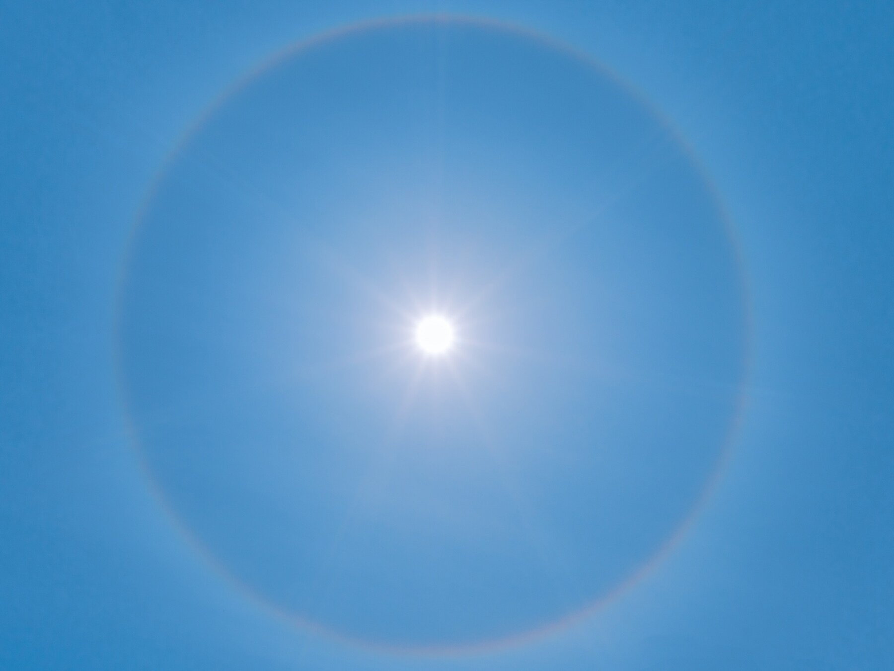 Museumpark Archeon in Alphen wordt omgetoverd tot de Stad van Sint ...