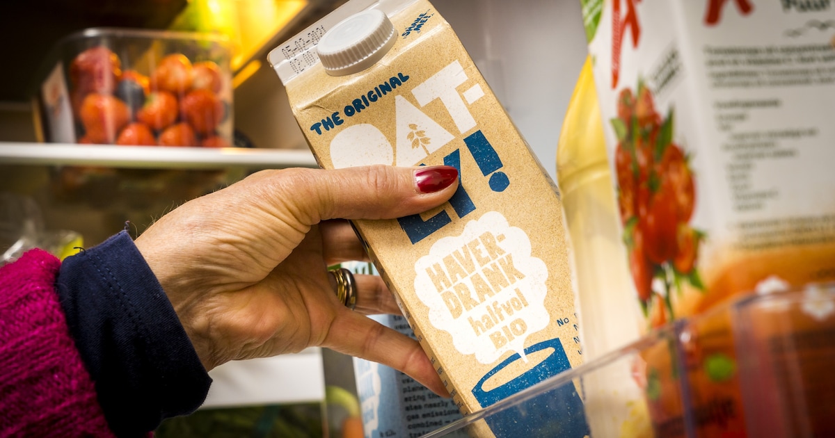 Havermelkgigant Oatly kiest voor Zeeland: boeren gaan massaal haver ...