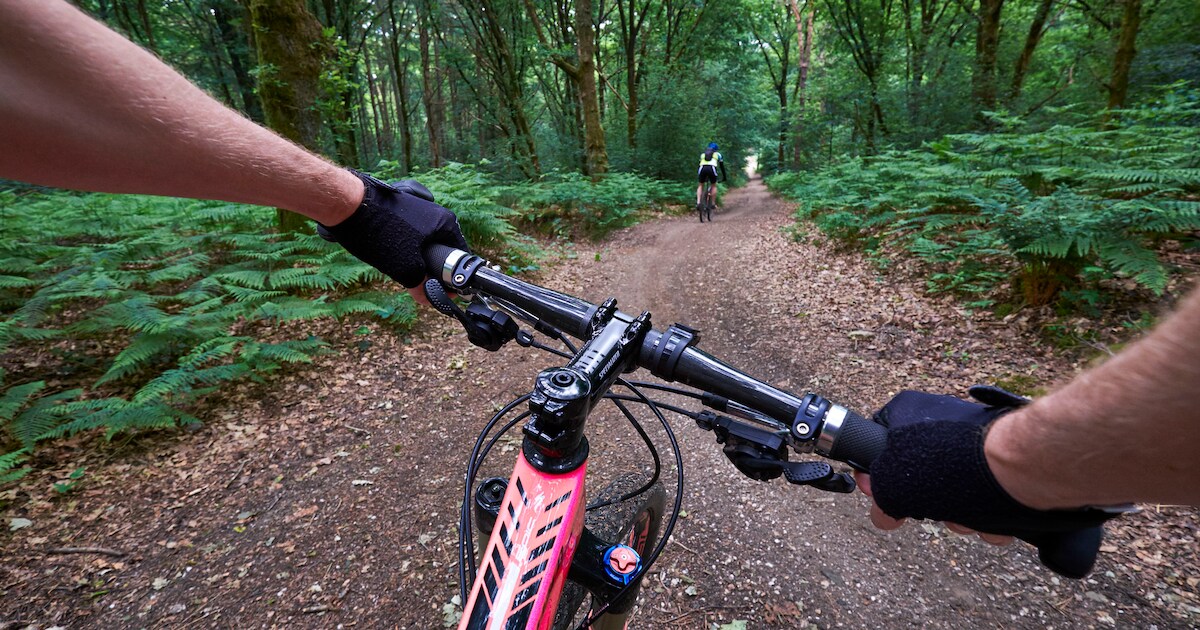 Mountainbikers rijden door Bergherbos zonder vignet: 120 euro boete ...
