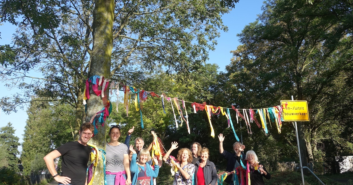 Bewoners van de Mient superblij met cadeautje van nieuwe coalitie: kap ...