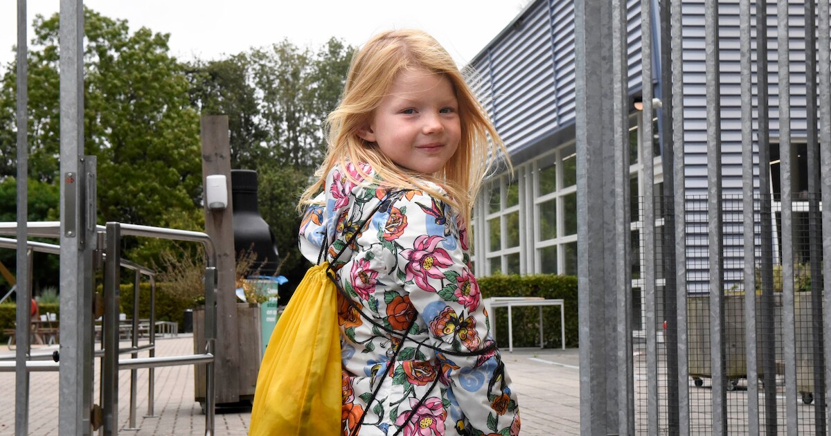 Lange wachtlijsten: Elise (5) wil dolgraag leren zwemmen, maar moet al ...
