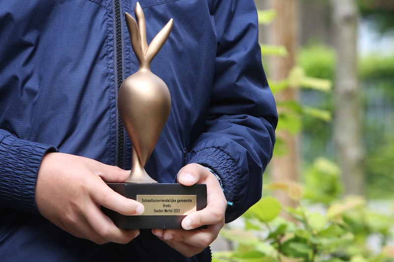 Wageningen wint Gouden Wortel voor schooltuinonderwijs | Regio | AD.nl