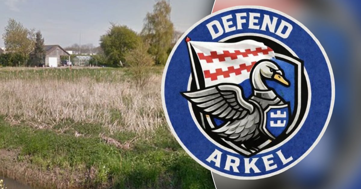 Woedende zwaan met harnas symbool van protest tegen mogelijk ...