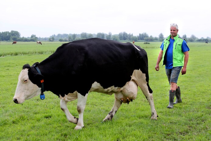 Vrijwillig ruilen van landbouwgrond afgerond, boer Hans is tevreden ...