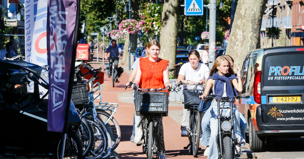 Fietsen door De Bilt? Denk daar nog maar eens over na: meeste ...