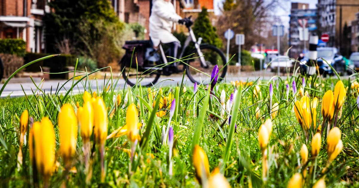 Lezers over vroege lentedag: ‘Wie zegt dat je ervan moet genieten ...