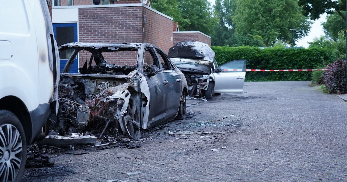 Flinke schade aan meerdere auto’s door brand in Dronten, politie denkt ...