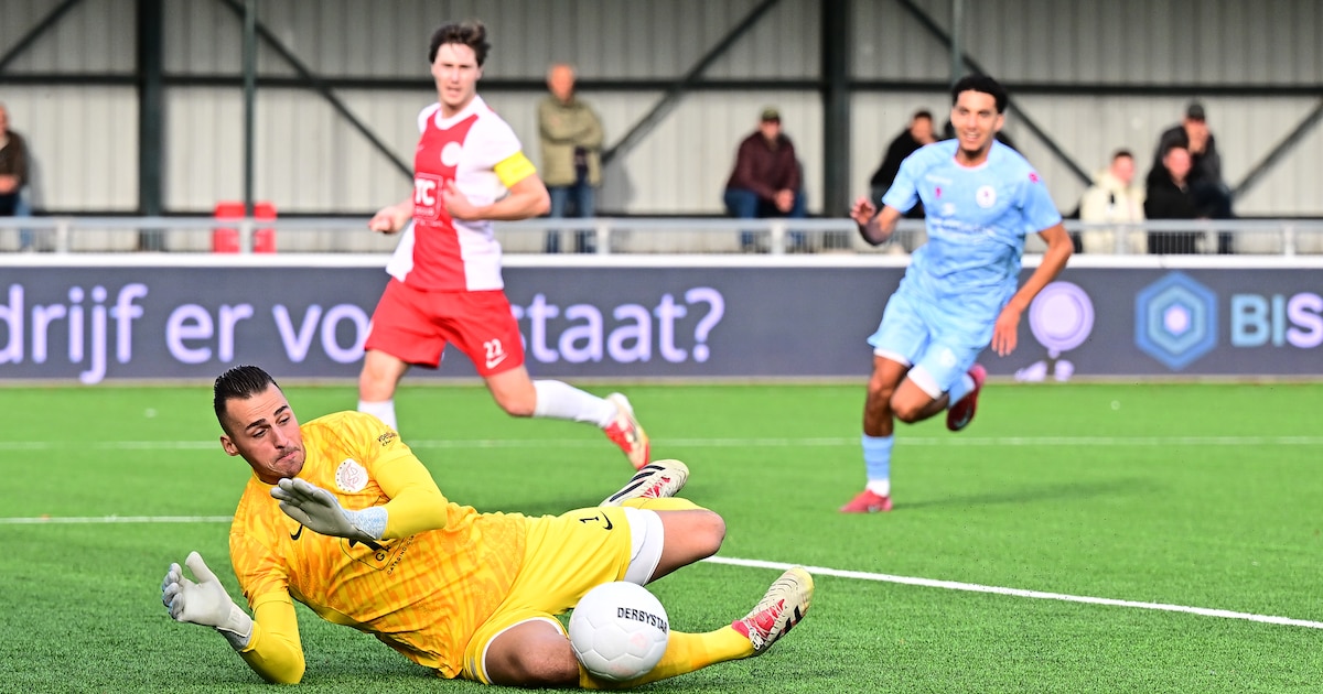 Jaimy Schaap heeft meer duidelijkheid van IJsselmeervogels: ‘Intentie ...