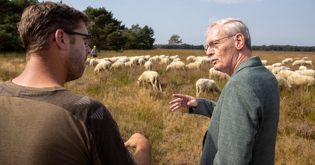 Regering zoekt naar ‘juridische snelweg’ bij probleemwolf: gelijk ...