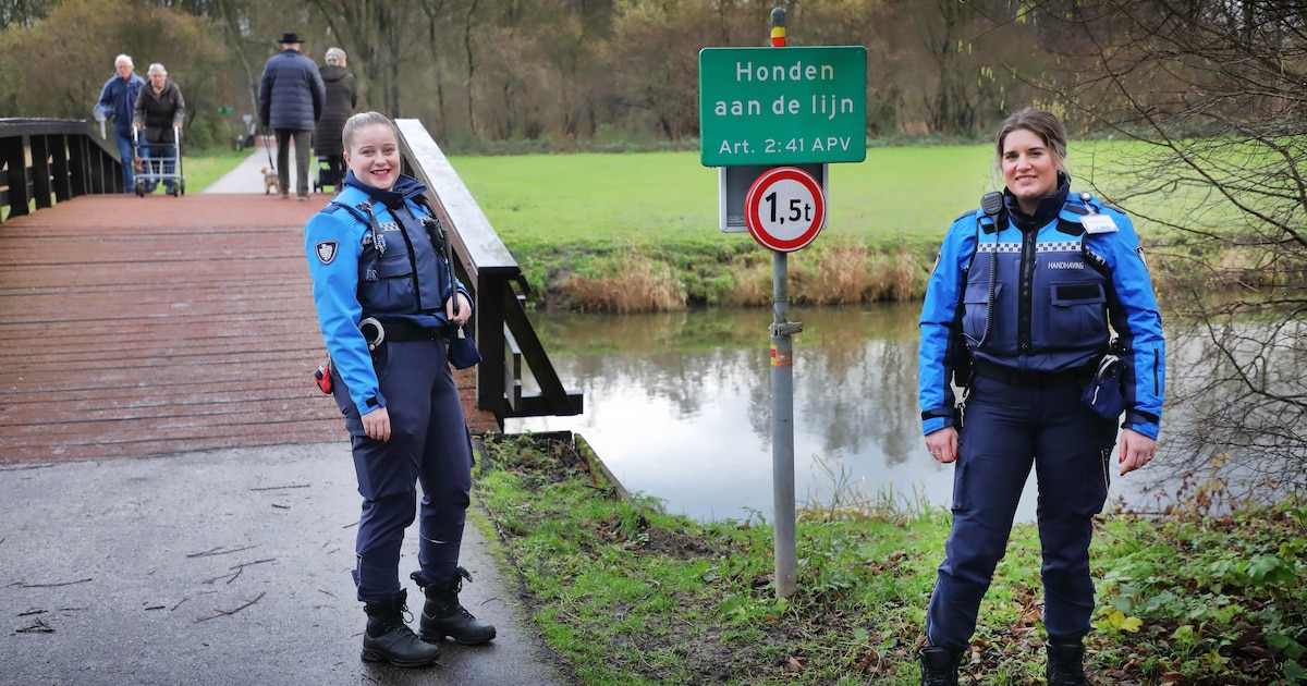 Zeven handhavers geslagen, geschopt en gewurgd, maar na maanden weer de ...