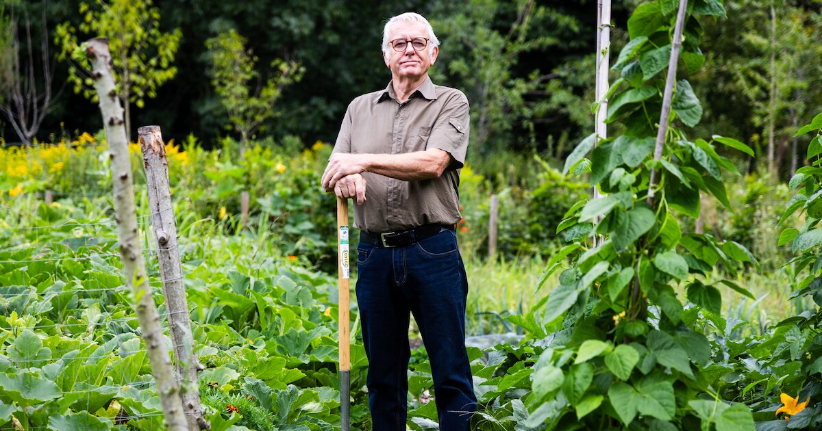 Oud-politicus runt al 10 jaar de grootste dorpstuin in Rozenburg: ‘Ga ...