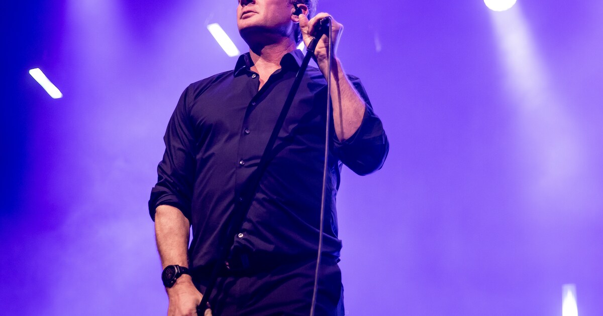 Racoon treedt op in Hengelo | Hengelo | AD.nl