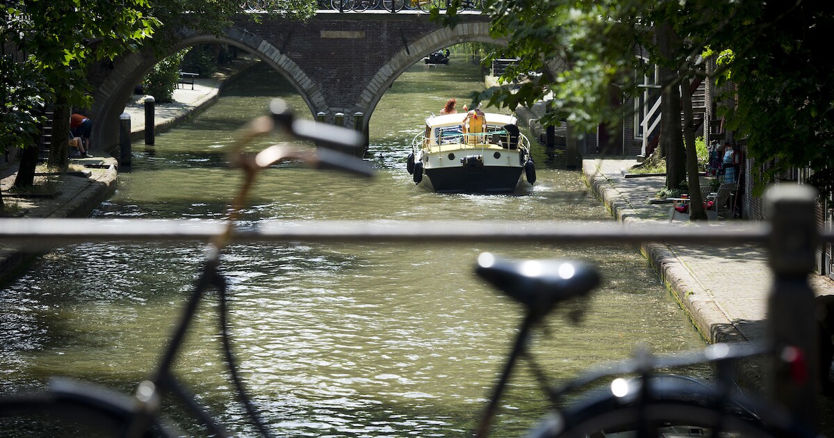Man gooit fiets in gracht en duikt hem zelf weer op | Utrecht | AD.nl