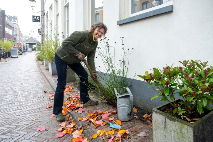 Amersfoort zet deur wagenwijd open voor nieuwe geveltuinen: ‘Meer groen zorgt voor sfeer in de ...