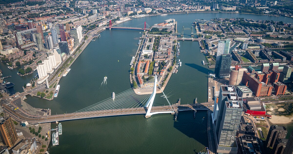 Van kapsalon tot kroten: met deze spoedcursus Rotterdams ben je als ...